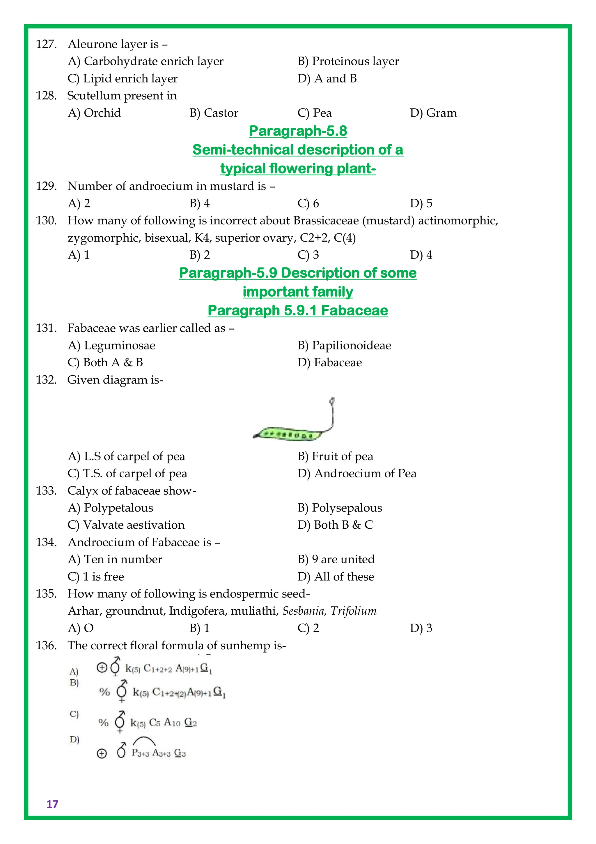 Class 11 Biology Topic Wise Line by Line Chapter 5 Morphology of ...