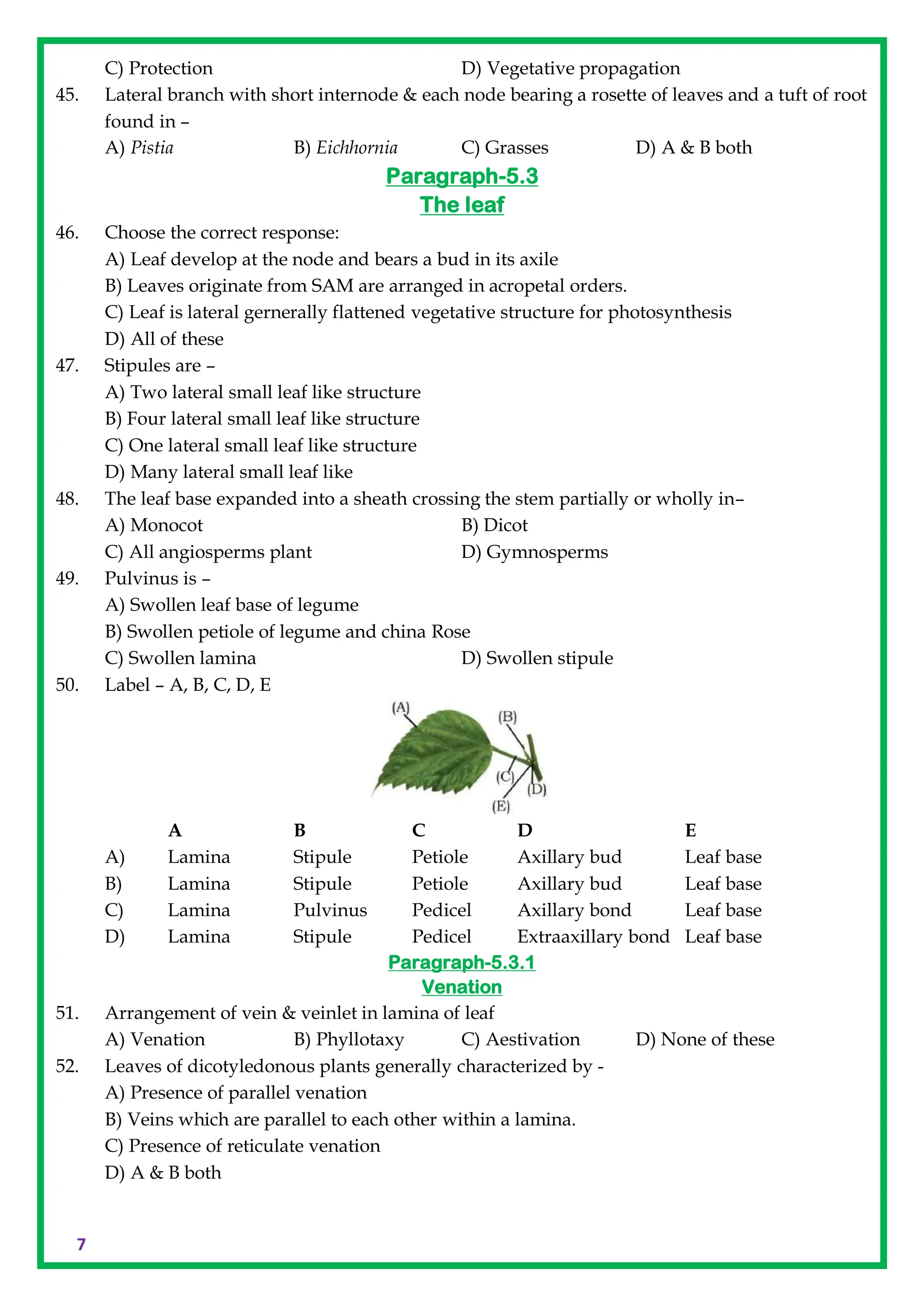 Class 11 Biology Topic Wise Line by Line Chapter 5 Morphology of ...