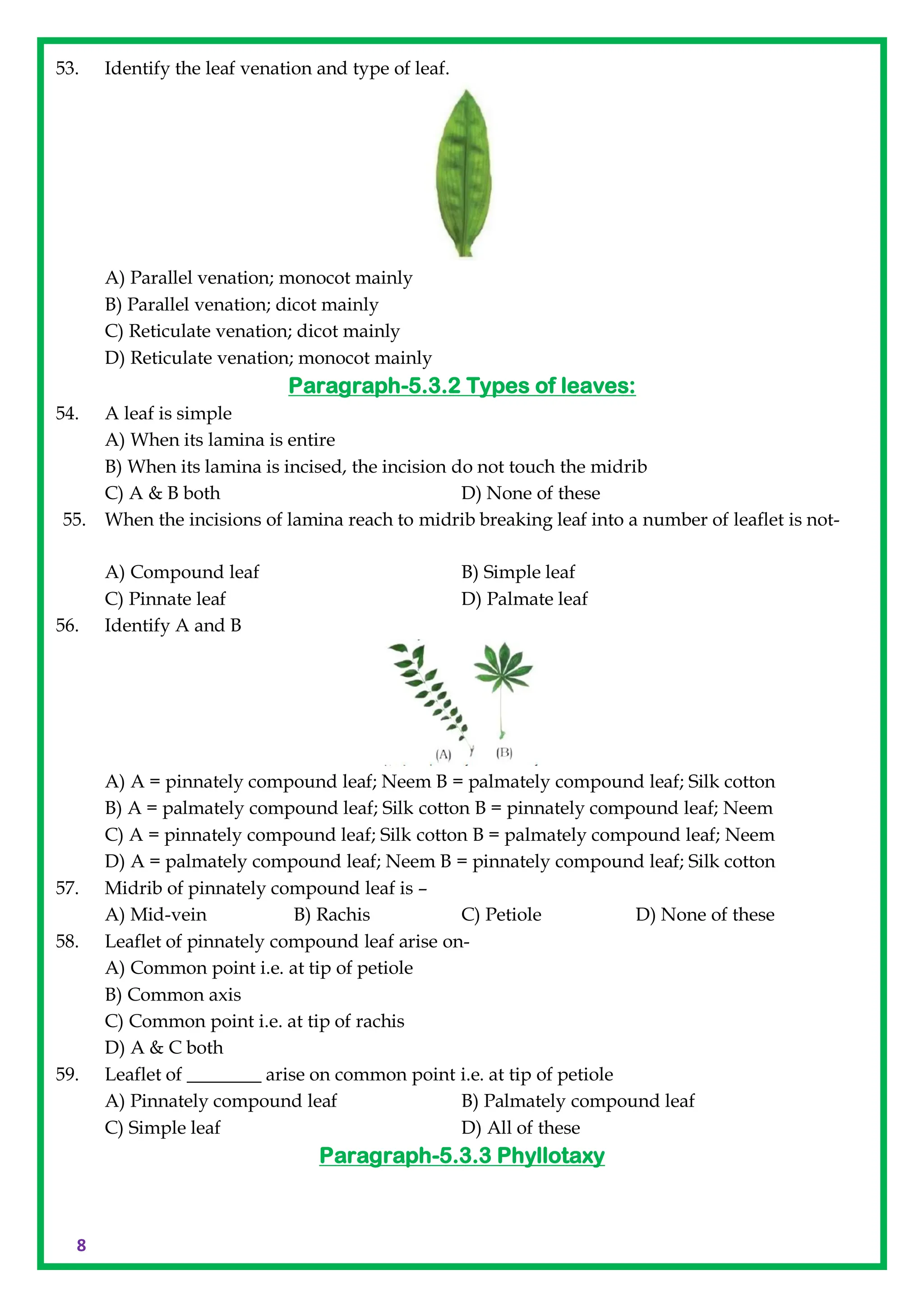 Class 11 Biology Topic Wise Line by Line Chapter 5 Morphology of ...