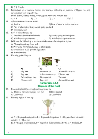 Class 11 Biology Topic Wise Line by Line Questions Chapter 5 Morphology ...