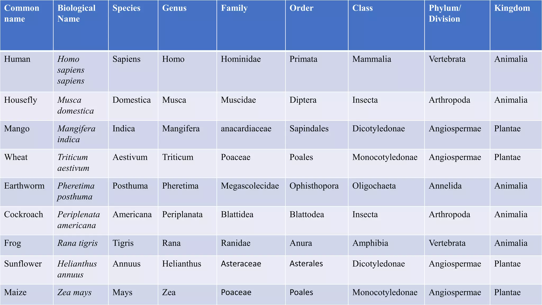 Class 11 Chapter 1 The Living World | PPTX