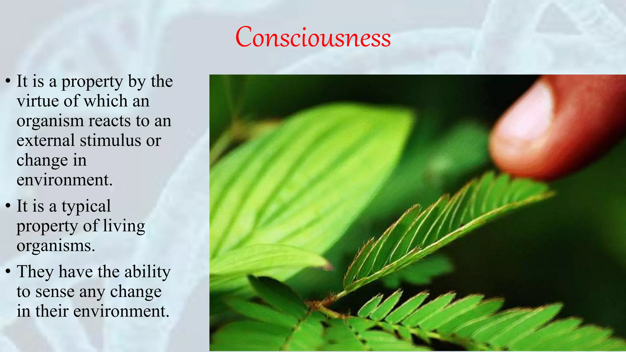 Class 11 Chapter 1 The Living World | PPTX