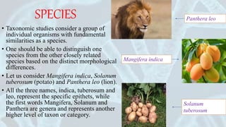 Class 11 Chapter 1 The Living World | PPTX