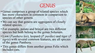 Class 11 Chapter 1 The Living World | PPTX