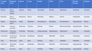 Class 11 Chapter 1 The Living World | PPTX