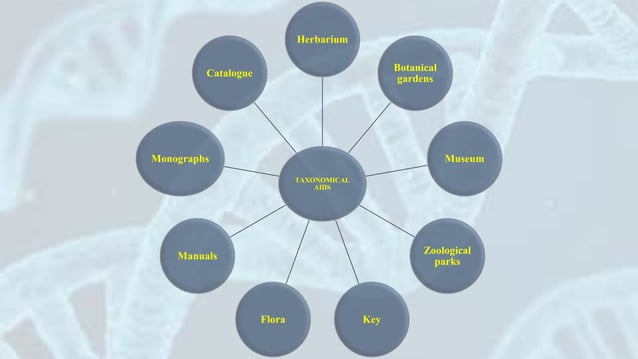 Class 11 Chapter 1 The Living World | PPTX | Biological Sciences | Science