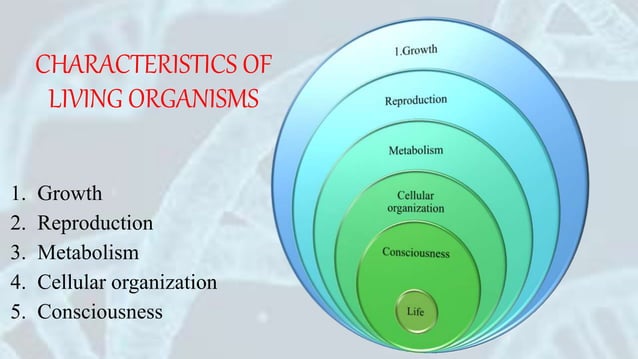 Class 11 Chapter 1 The Living World | PPTX | Biological Sciences | Science