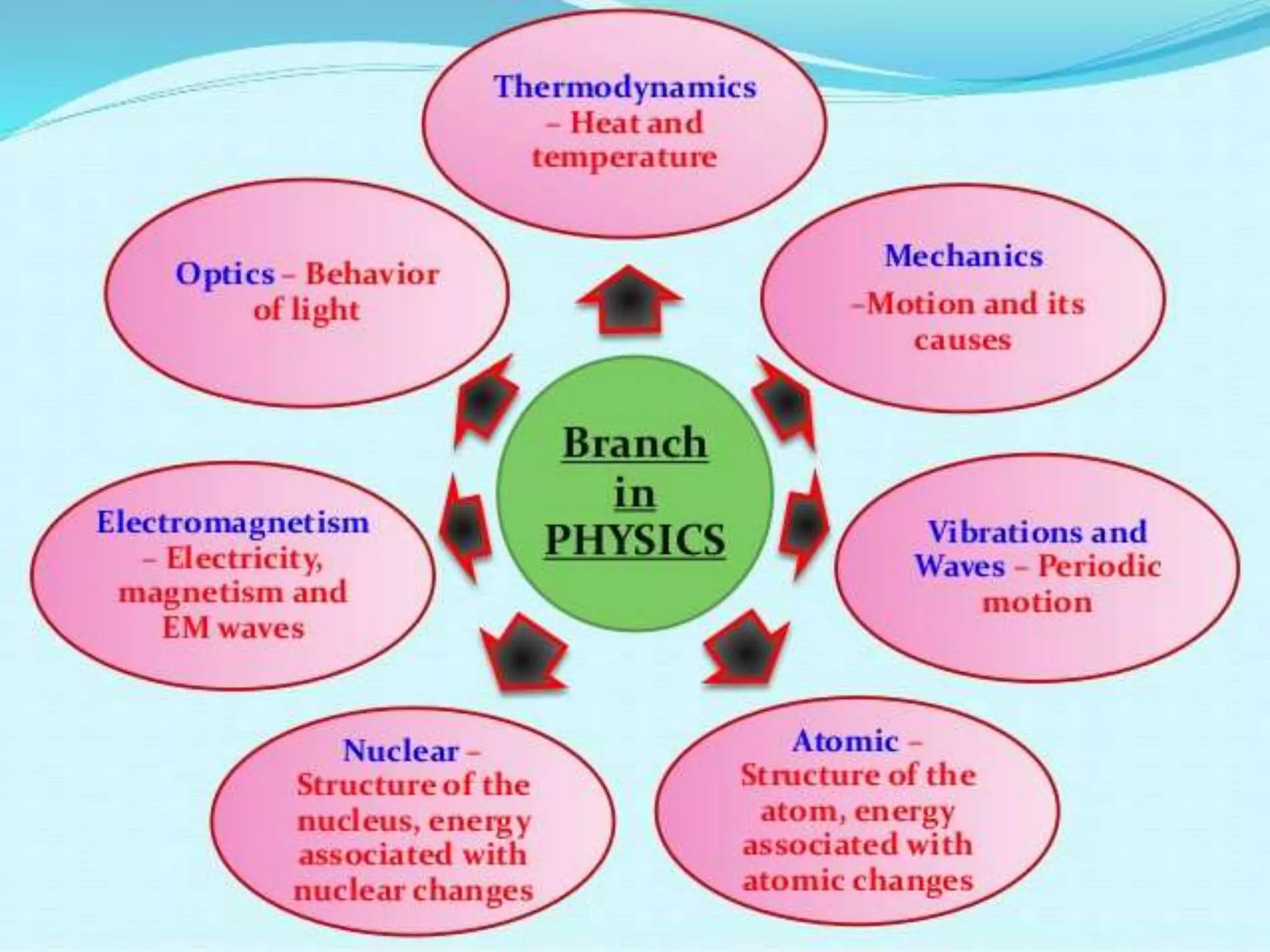 Class 11 Chapter 1 Ppt Pptx