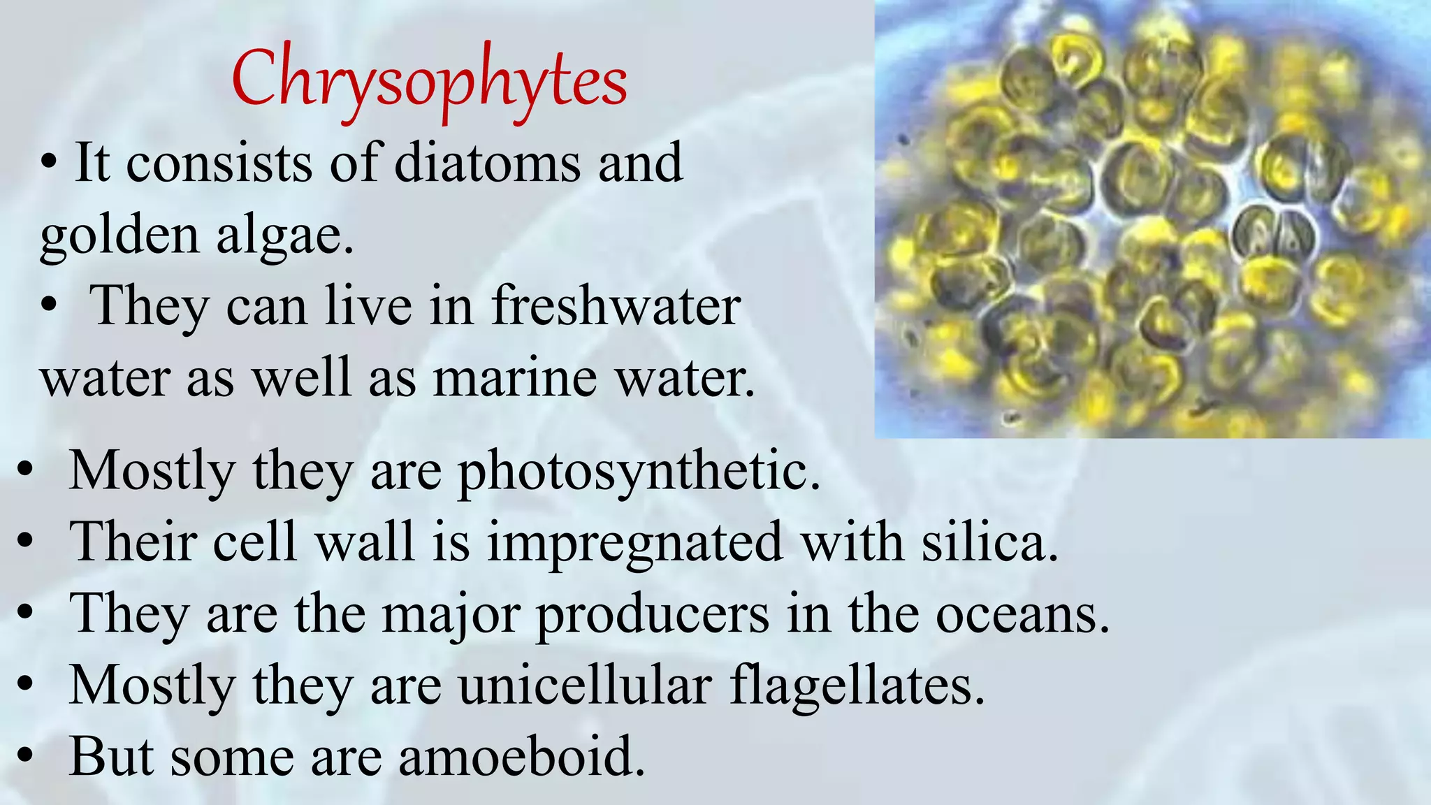 Class 11 chapter 2 | PPTX