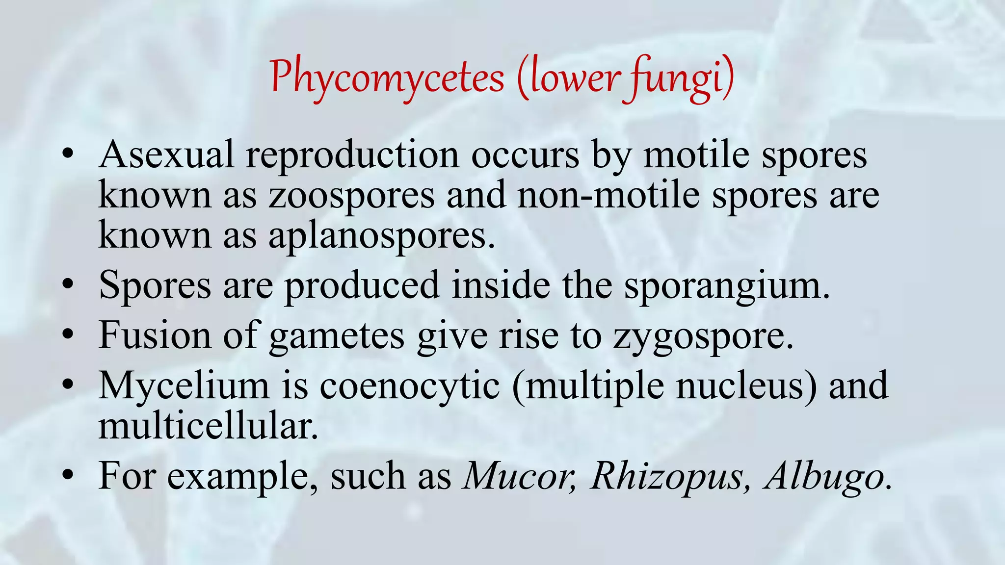 Class 11 chapter 2 | PPTX