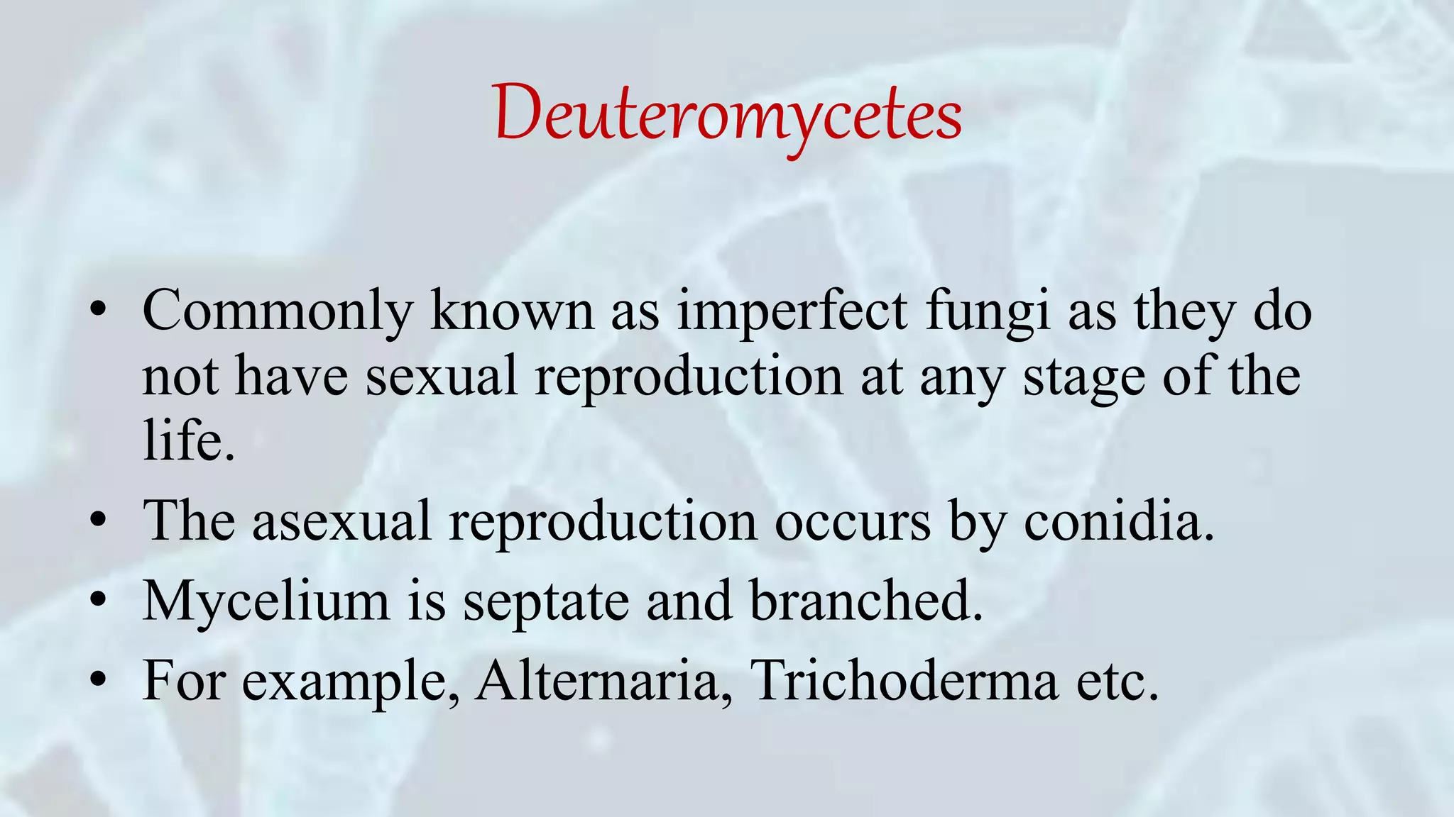 Class 11 chapter 2 | PPTX
