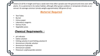 Class 11 Chemistry Project Work.pptx