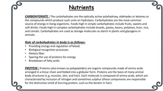 Class 11 Chemistry Project Work.pptx