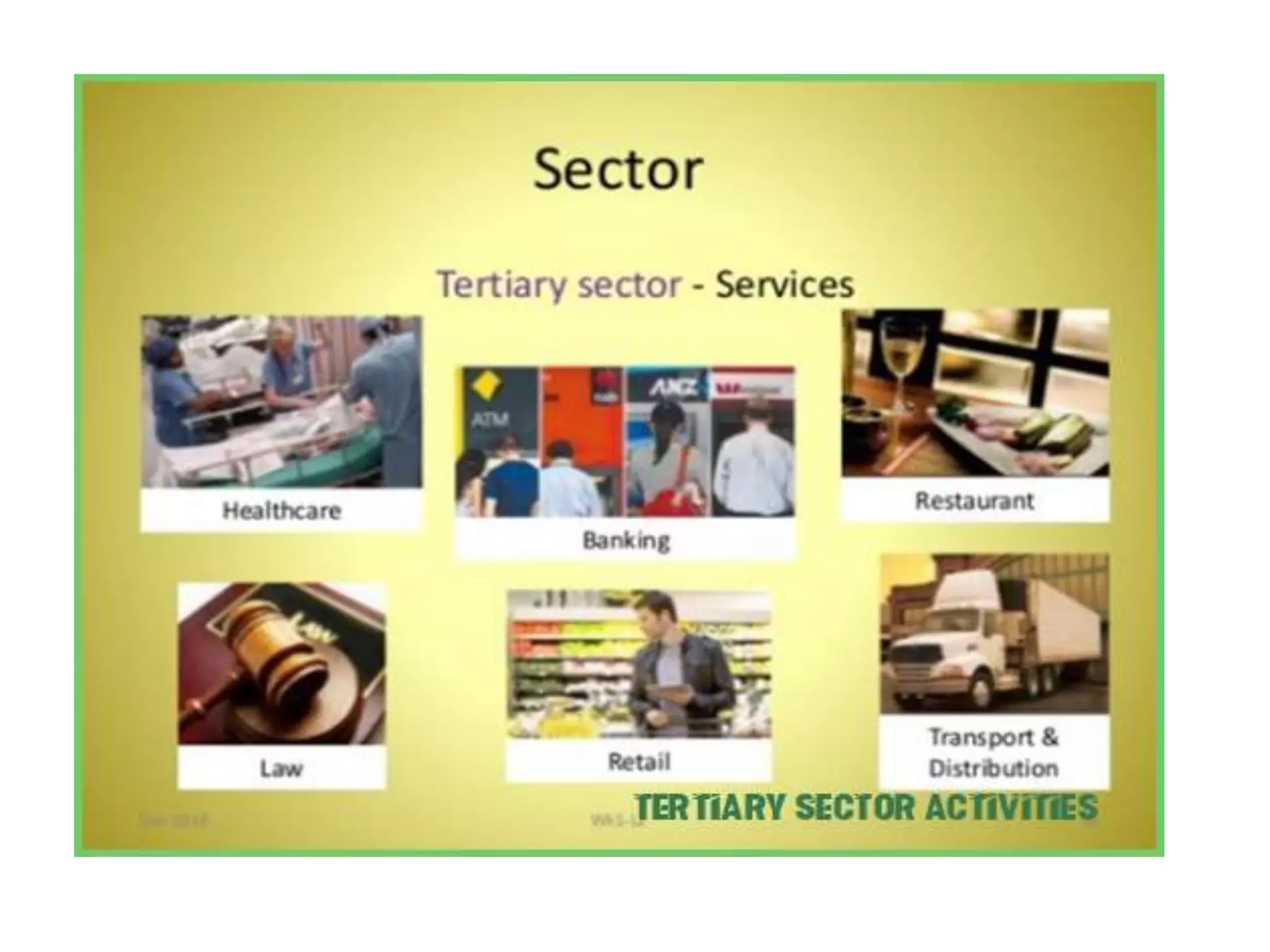 Class 11 classification of business activities | PPTX