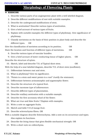 Class 11 Important Questions for Biology - Morphology of Flowering ...
