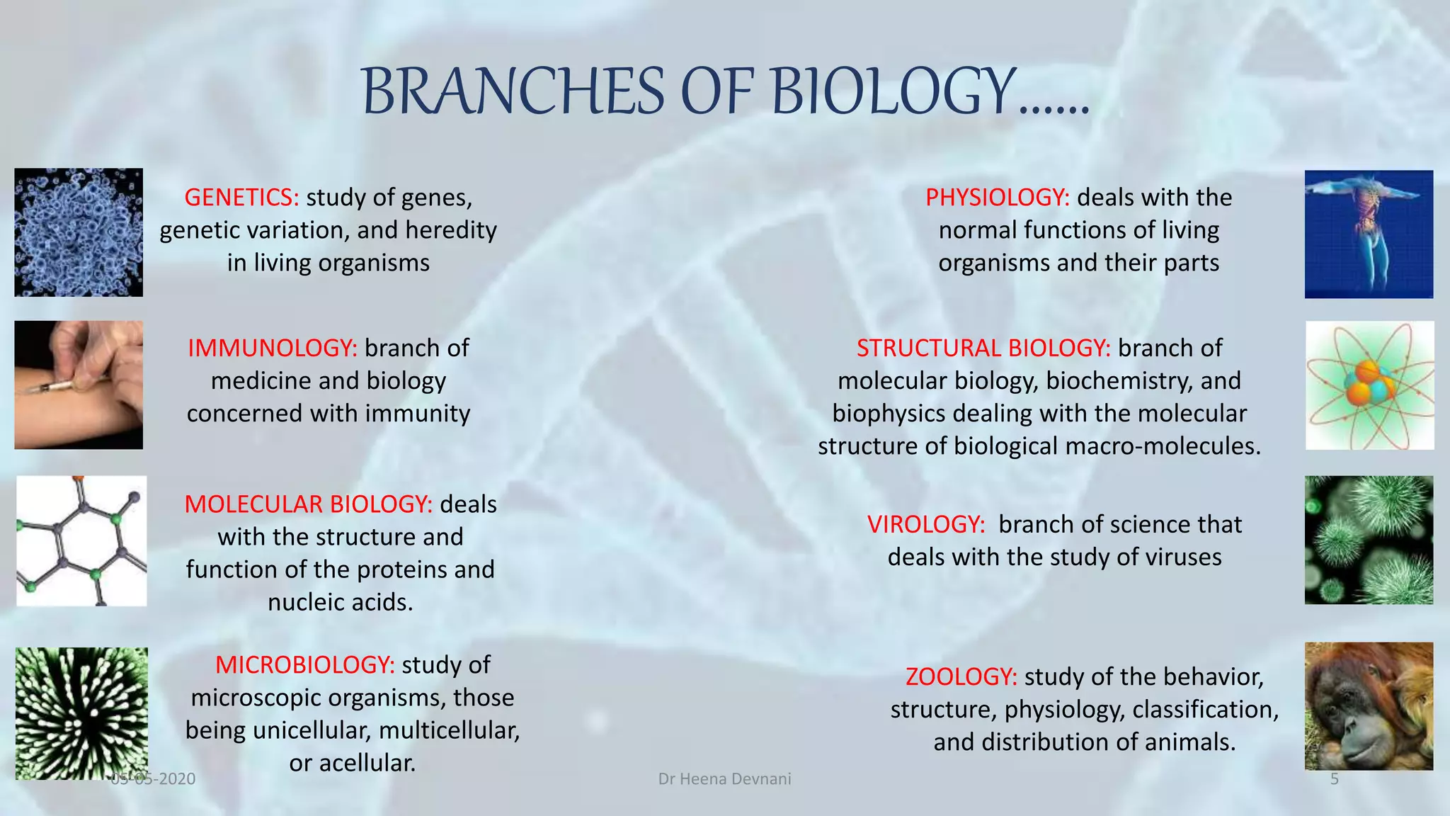Class 11 Introduction to Biology | PPTX
