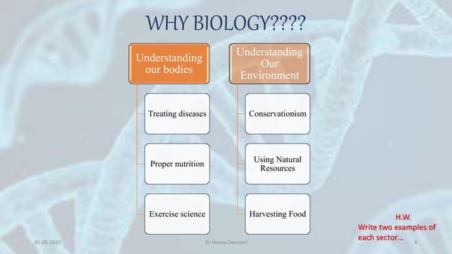 Class 11 Introduction to Biology | PPTX | Biological Sciences | Science