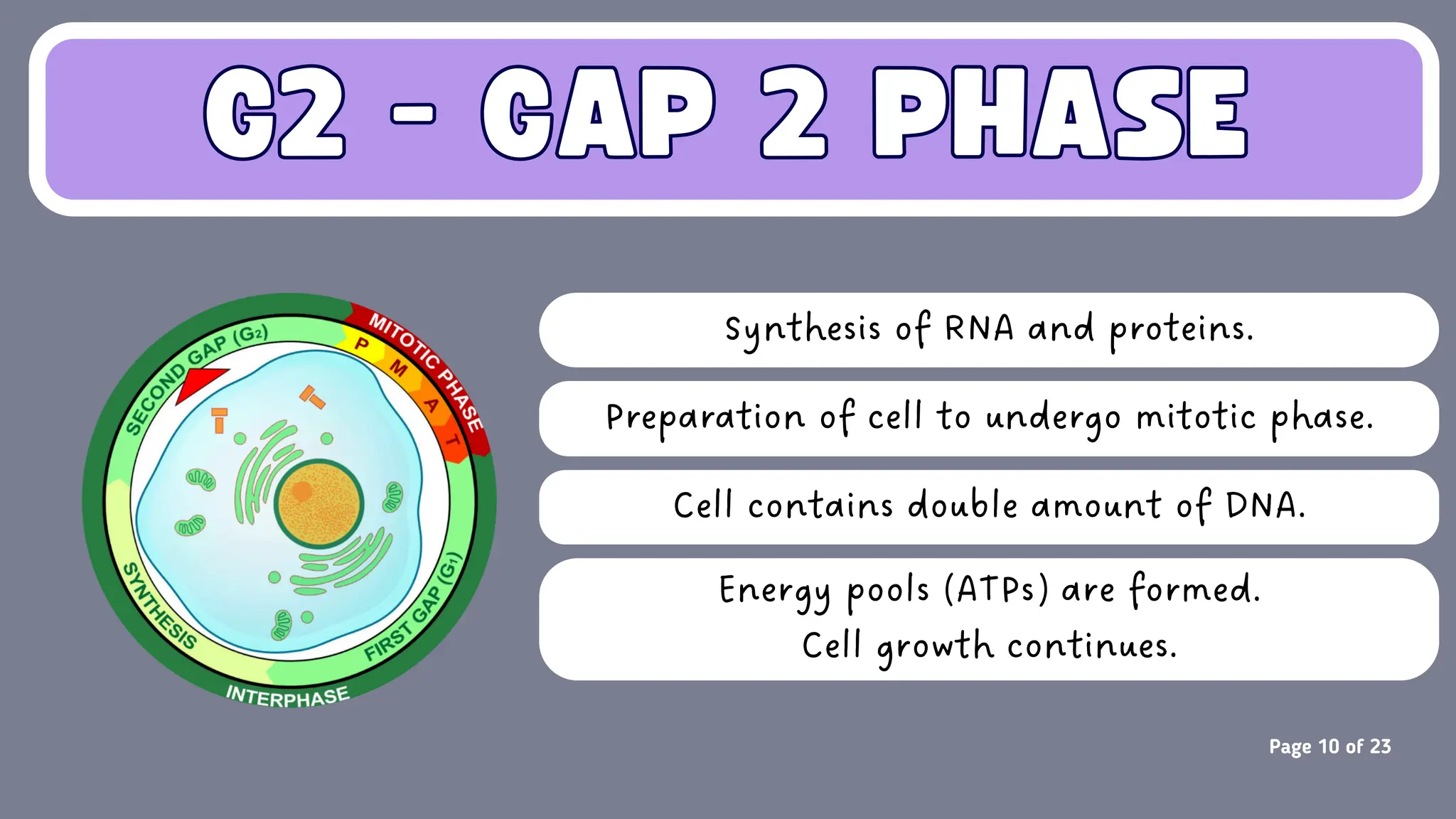 Class 11th Ncert Cbse Neet BIOLOGY CELL CYCLE AND CELL DIVISION.pdf