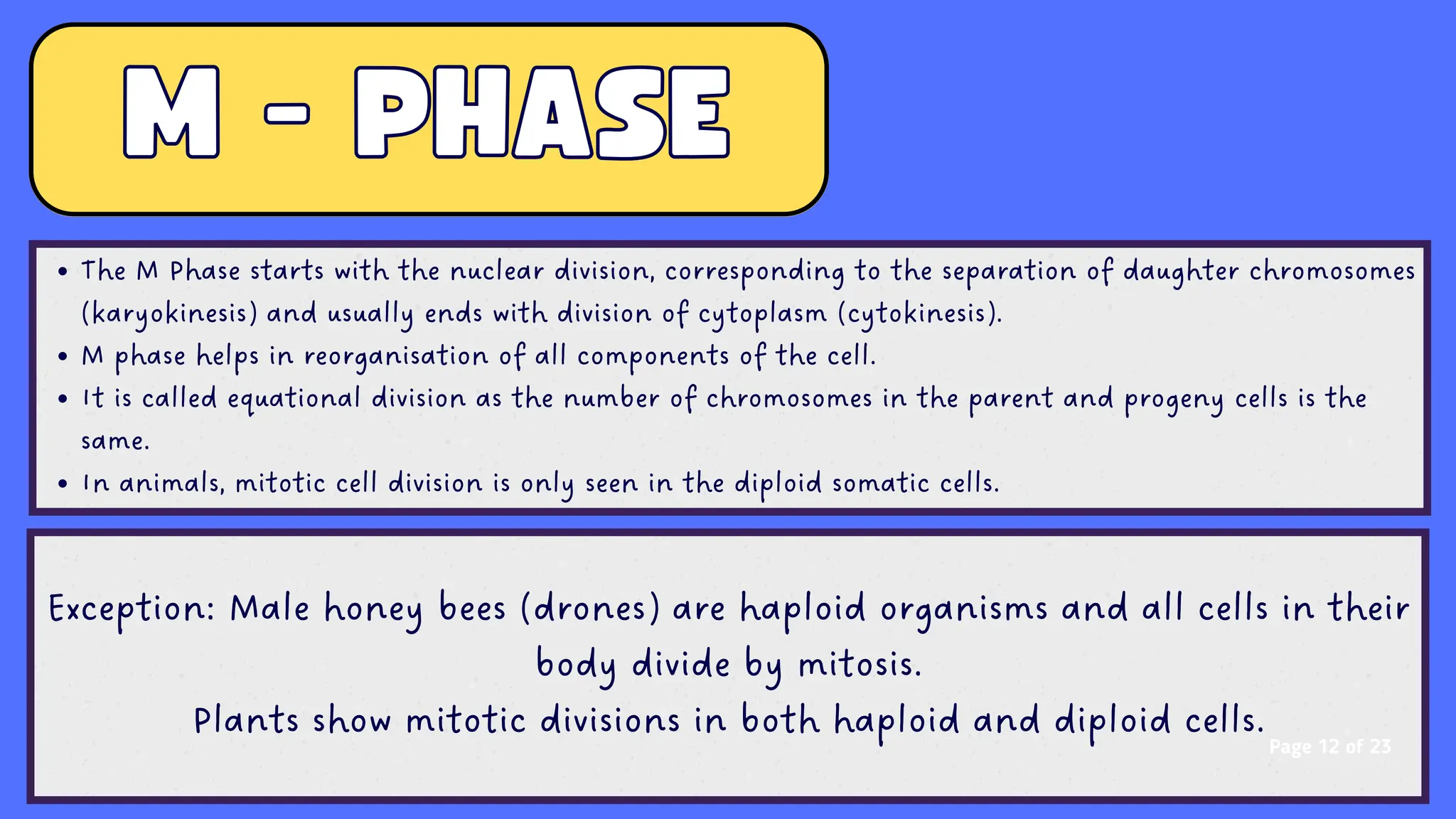 Class 11th Ncert Cbse Neet BIOLOGY CELL CYCLE AND CELL DIVISION.pdf
