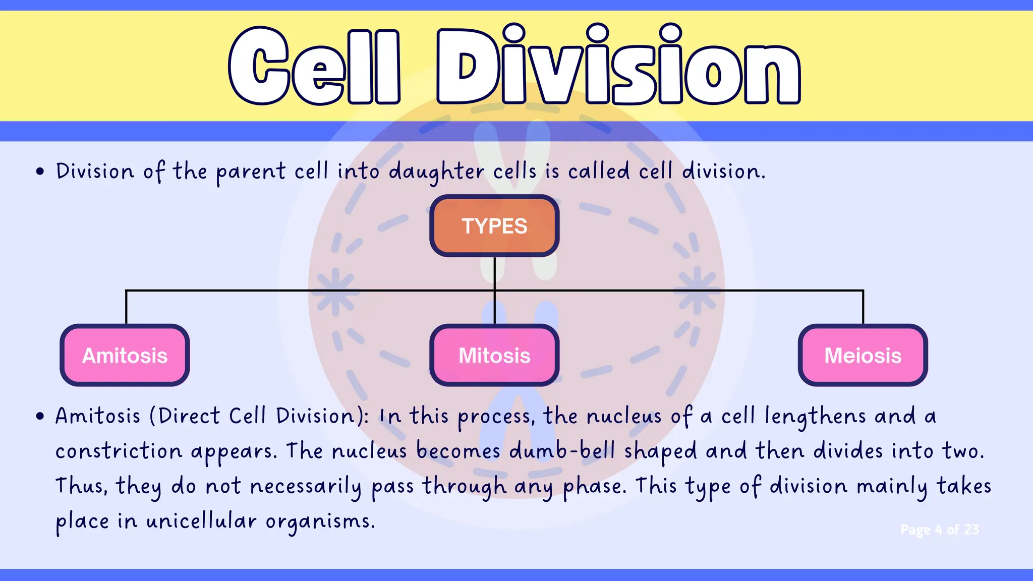 Class 11th Ncert Cbse Neet BIOLOGY CELL CYCLE AND CELL DIVISION.pdf