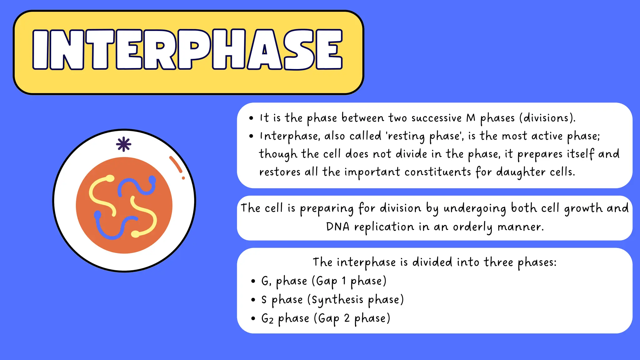 Class 11th Ncert Cbse Neet BIOLOGY CELL CYCLE AND CELL DIVISION.pdf