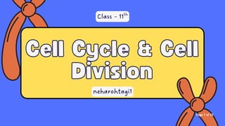 Class 11th Ncert Cbse Neet BIOLOGY CELL CYCLE AND CELL DIVISION.pdf