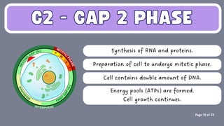 Class 11th Ncert Cbse Neet BIOLOGY CELL CYCLE AND CELL DIVISION.pdf