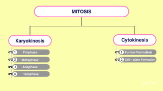 Class 11th Ncert Cbse Neet BIOLOGY CELL CYCLE AND CELL DIVISION.pdf