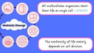 Class 11th Ncert Cbse Neet BIOLOGY CELL CYCLE AND CELL DIVISION.pdf