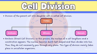 Class 11th Ncert Cbse Neet BIOLOGY CELL CYCLE AND CELL DIVISION.pdf