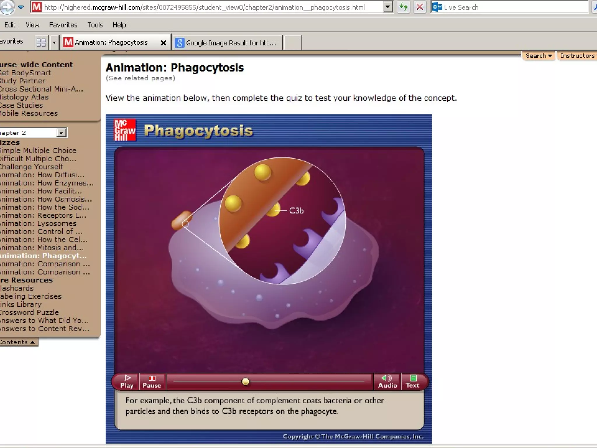 blood and its components | PPT