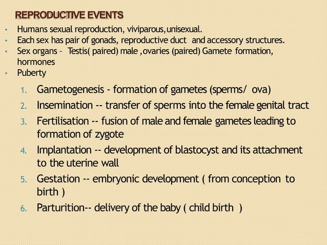 Class 12 biology human reproductive ... | PPTX | Infertility ...