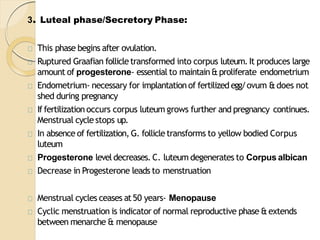 Class 12 biology human reproductive ... | PPTX