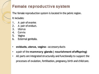 Class 12 biology human reproductive ... | PPT