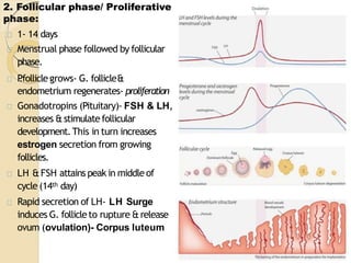 Class 12 biology human reproductive ... | PPT