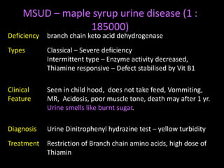 Branch chain Amino Acid Metabolism | PPTX