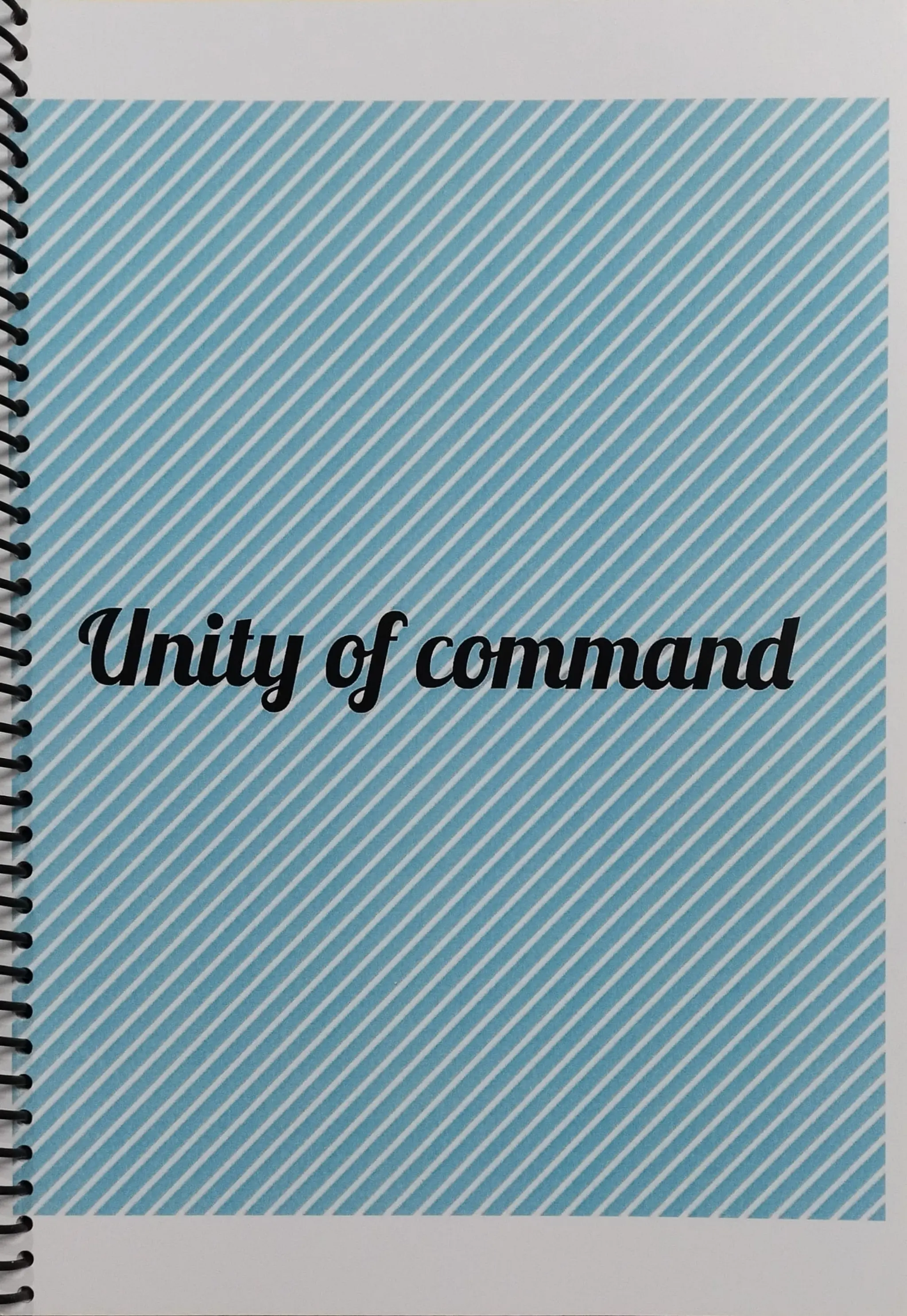 Class 12 BST Project on Principles of Management.pdf