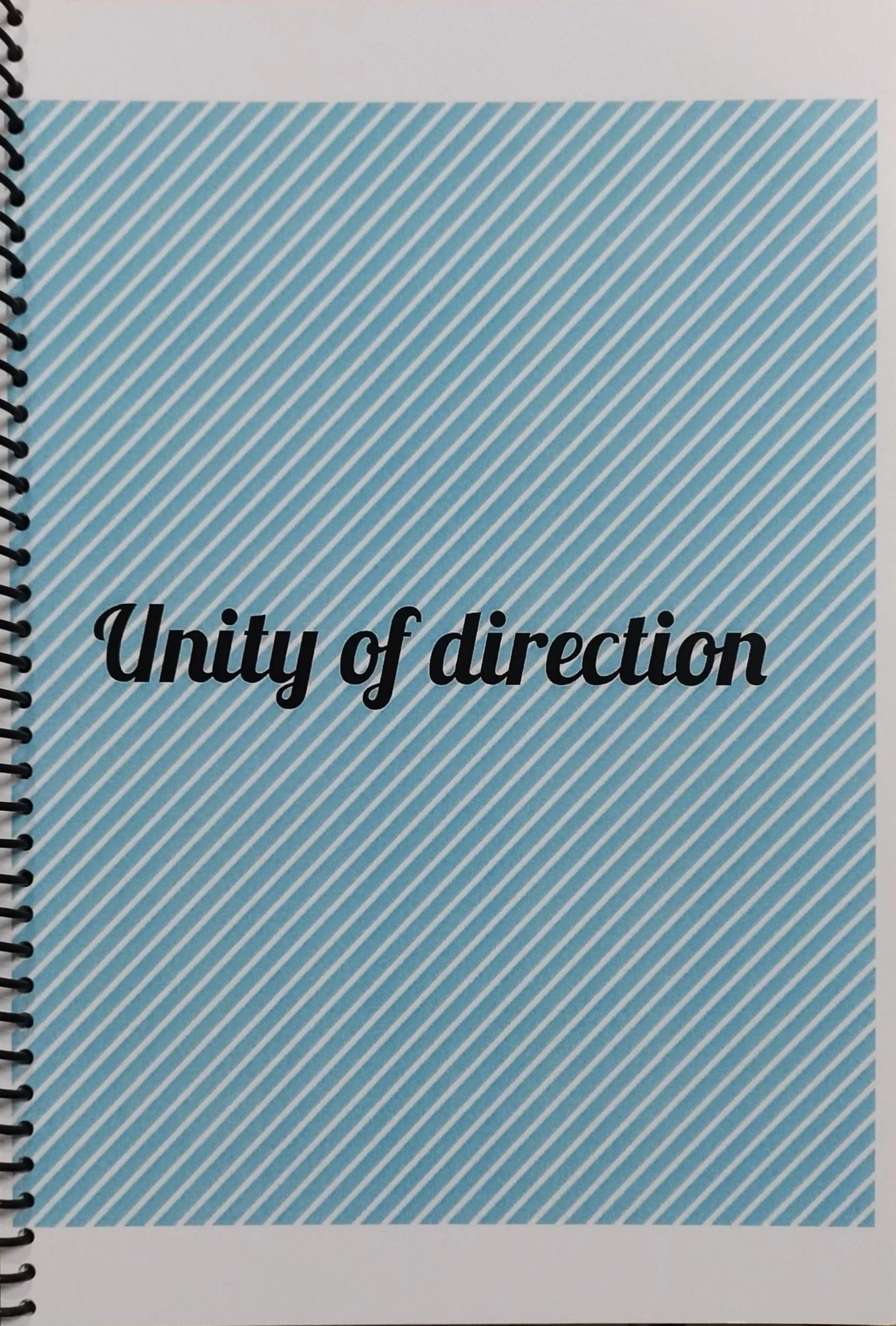 Class 12 BST Project on Principles of Management.pdf