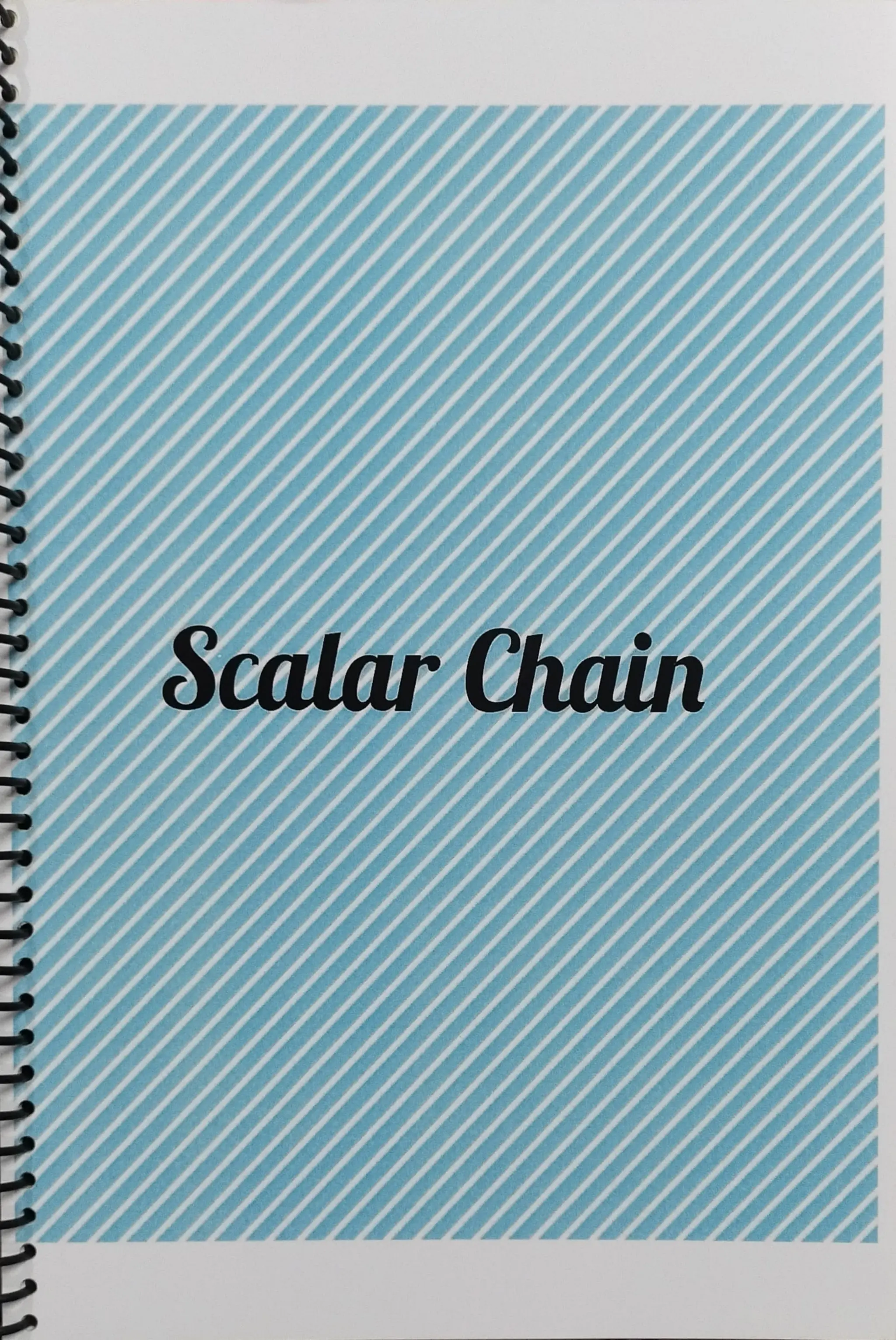 Class 12 BST Project on Principles of Management.pdf