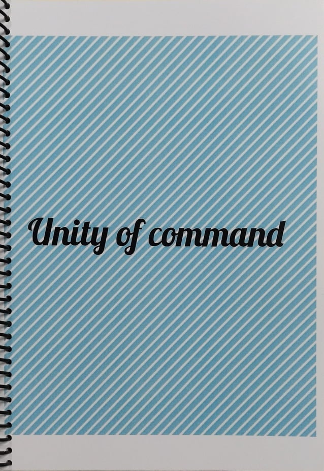 Class 12 BST Project on Principles of Management.pdf