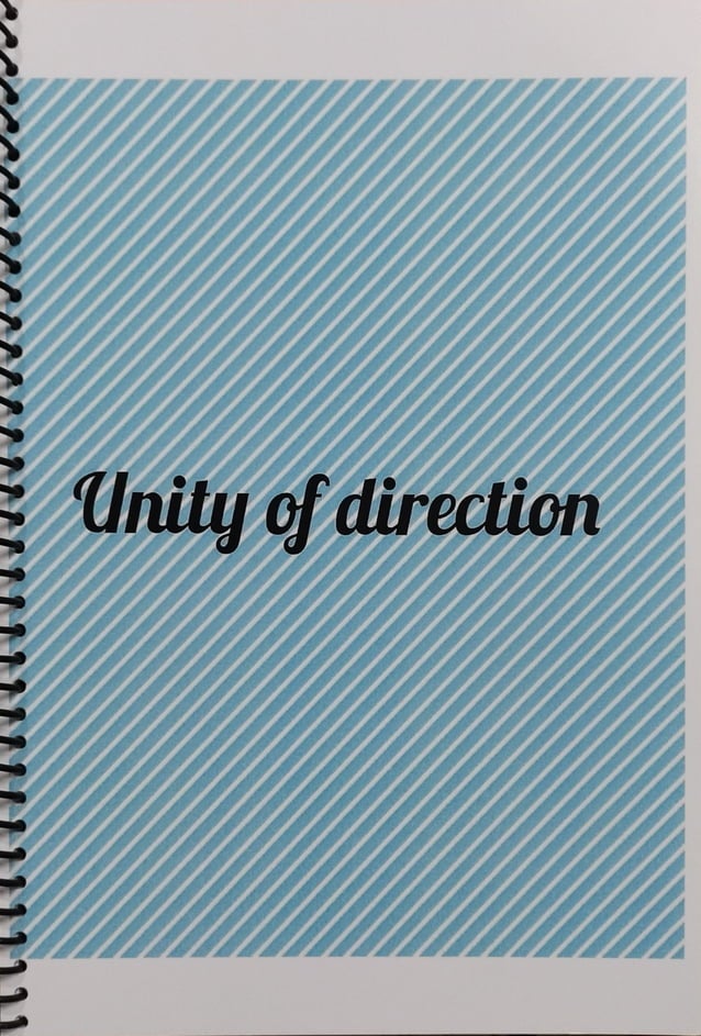 Class 12 BST Project on Principles of Management.pdf