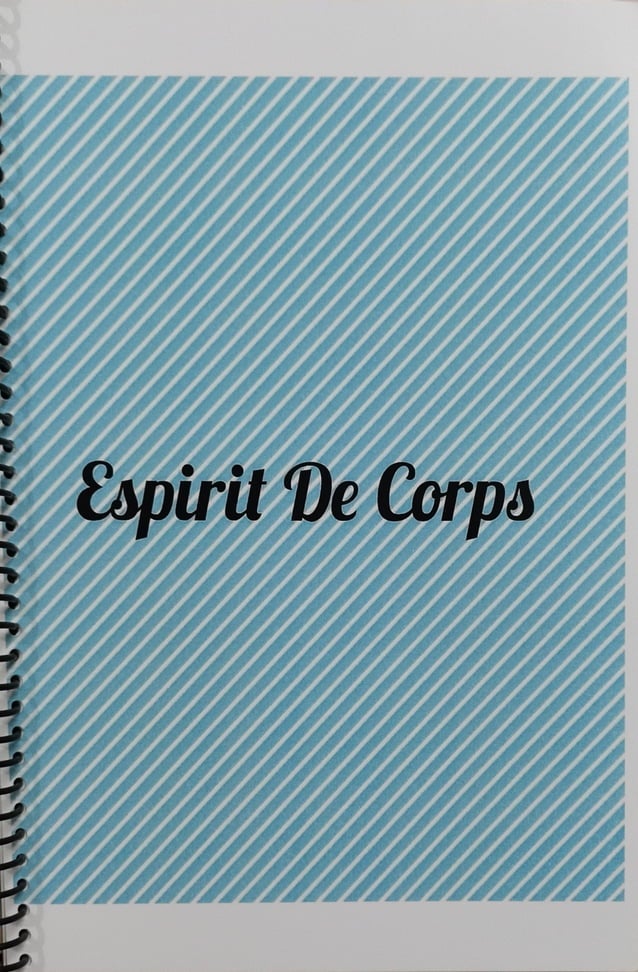 Class 12 BST Project on Principles of Management.pdf