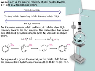 class 12 chapter 10 haloalkanes and haloareans | PPT
