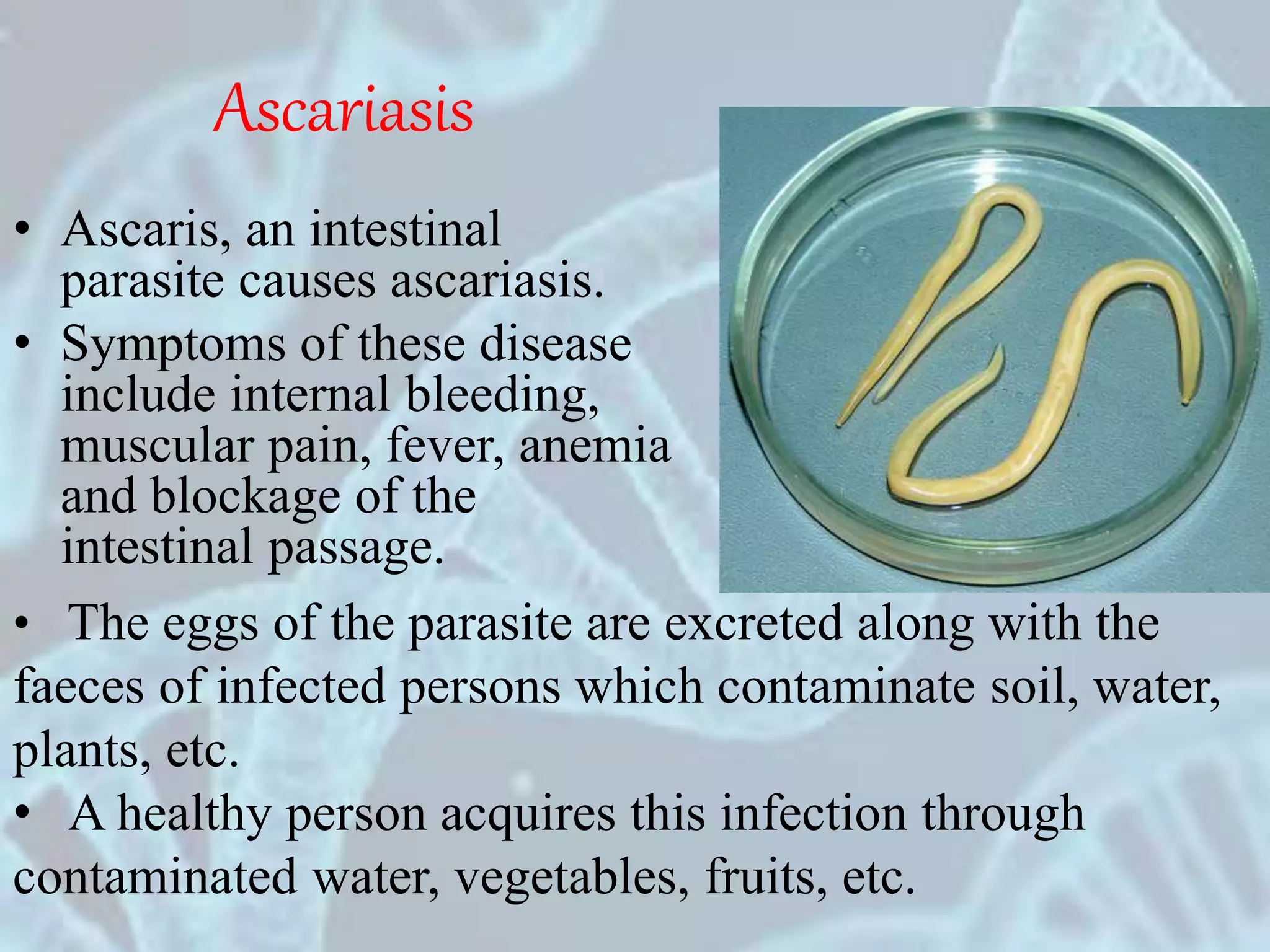 Class 12 chapter 8 Human Health and Diseases | PPTX