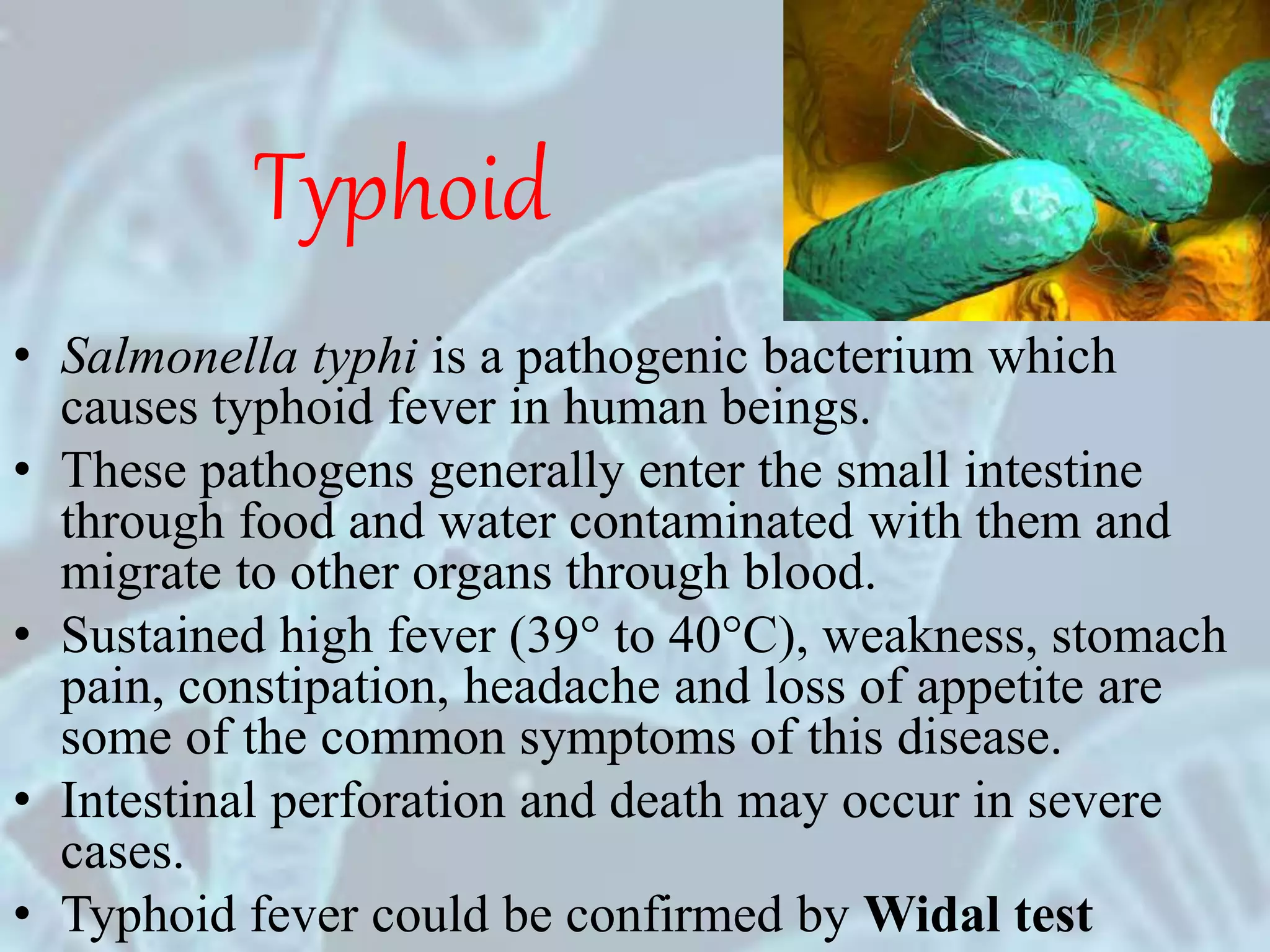 Class 12 chapter 8 Human Health and Diseases | PPTX