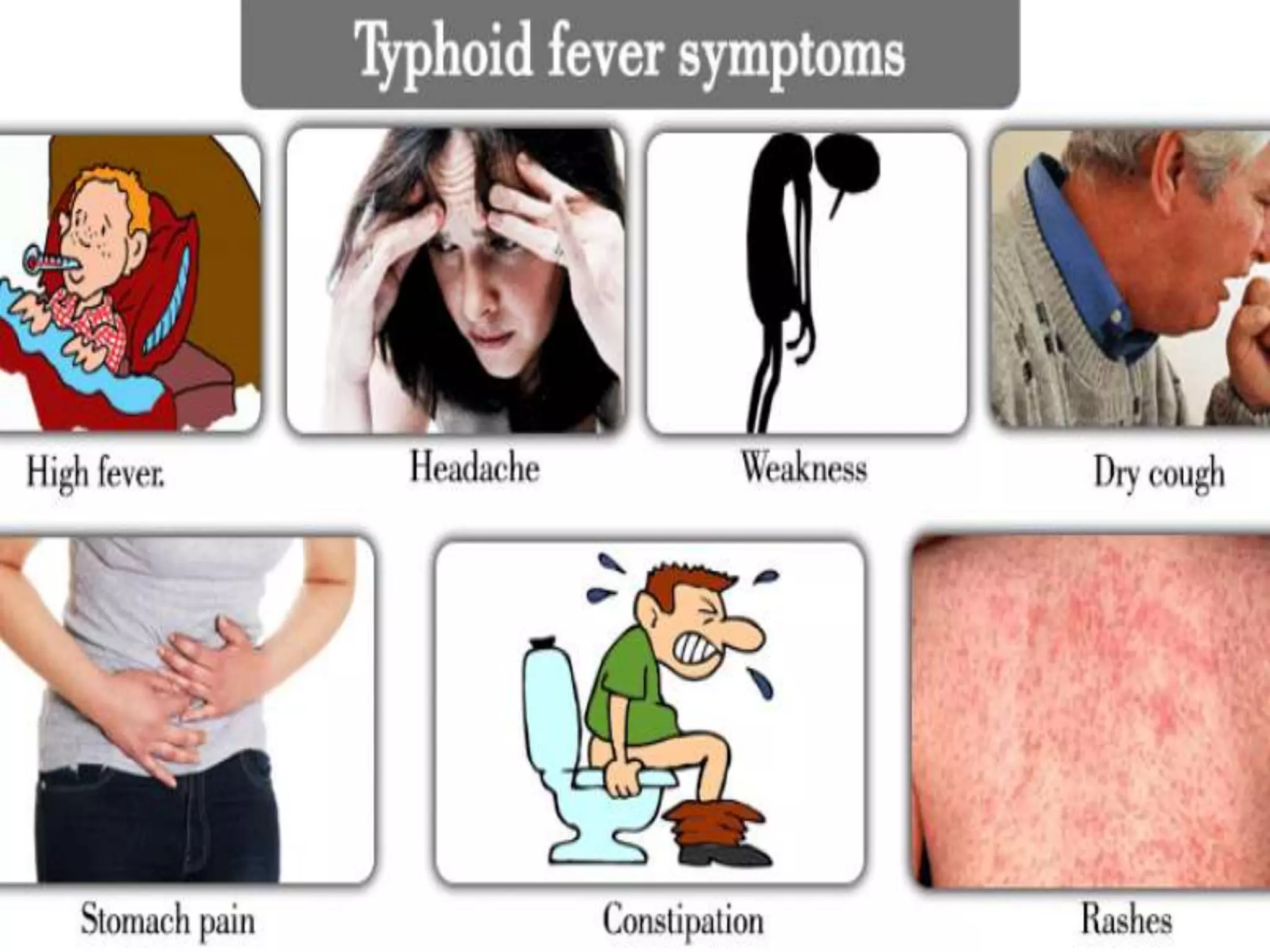 Class 12 chapter 8 Human Health and Diseases | PPTX