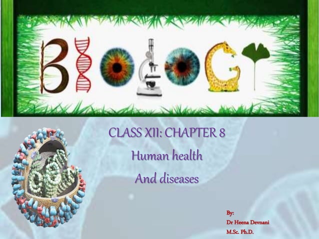 Class 12 chapter 8 Human Health and Diseases | PPTX | Lung and ...