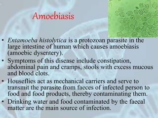 Class 12 chapter 8 Human Health and Diseases | PPTX
