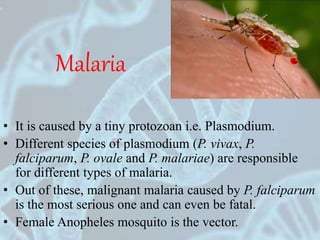 Class 12 chapter 8 Human Health and Diseases | PPTX