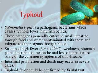 Class 12 chapter 8 Human Health and Diseases | PPTX